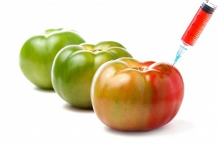 OMG - Organisme modificate genetic