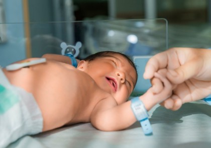 Disbioza intestinală indusă de antibiotice și riscul de bacteriemie la ...