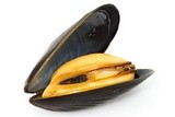 Midii - beneficii, calorii și compoziție nutritivă
