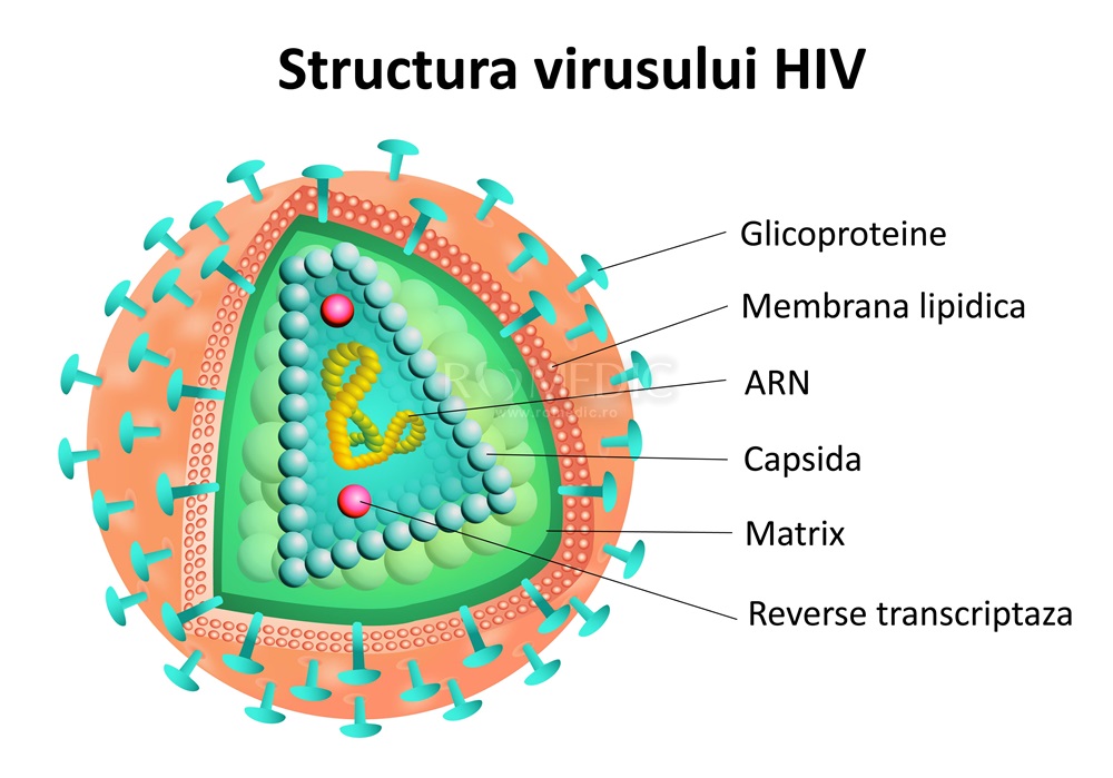 Infectia perinatala cu HIV
