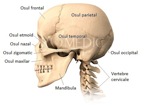 Fracturile craniului