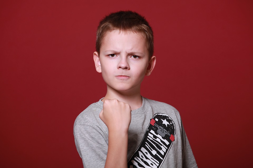 Agresivitatea la copii are origine genetică, dar este influențată de mediu