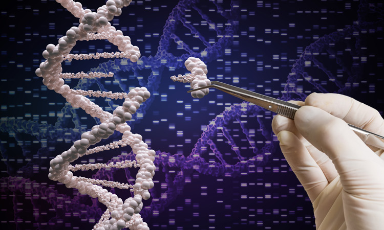 O nouă metodă de testare genetică a ajutat la identificarea unor gene ...