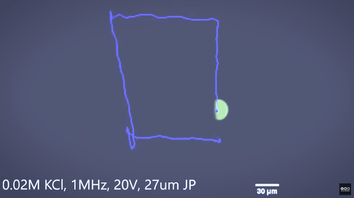 Micro-robot hibrid cu o gamă largă de aplicații în medicină și ...