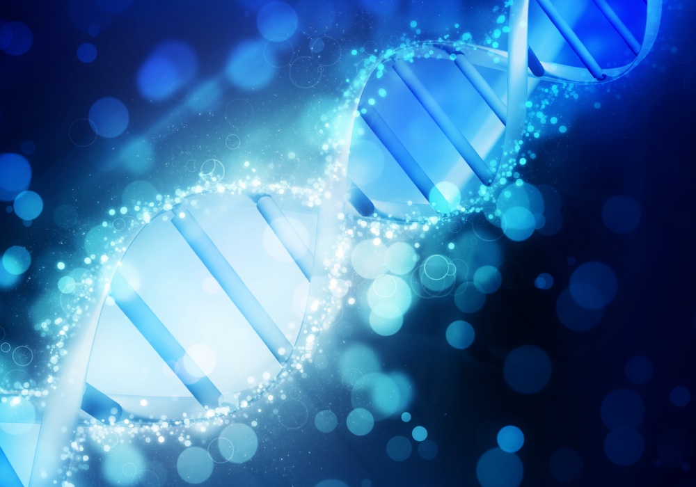 Un receptor celular nou descoperit ar putea face terapiile genice mai ...
