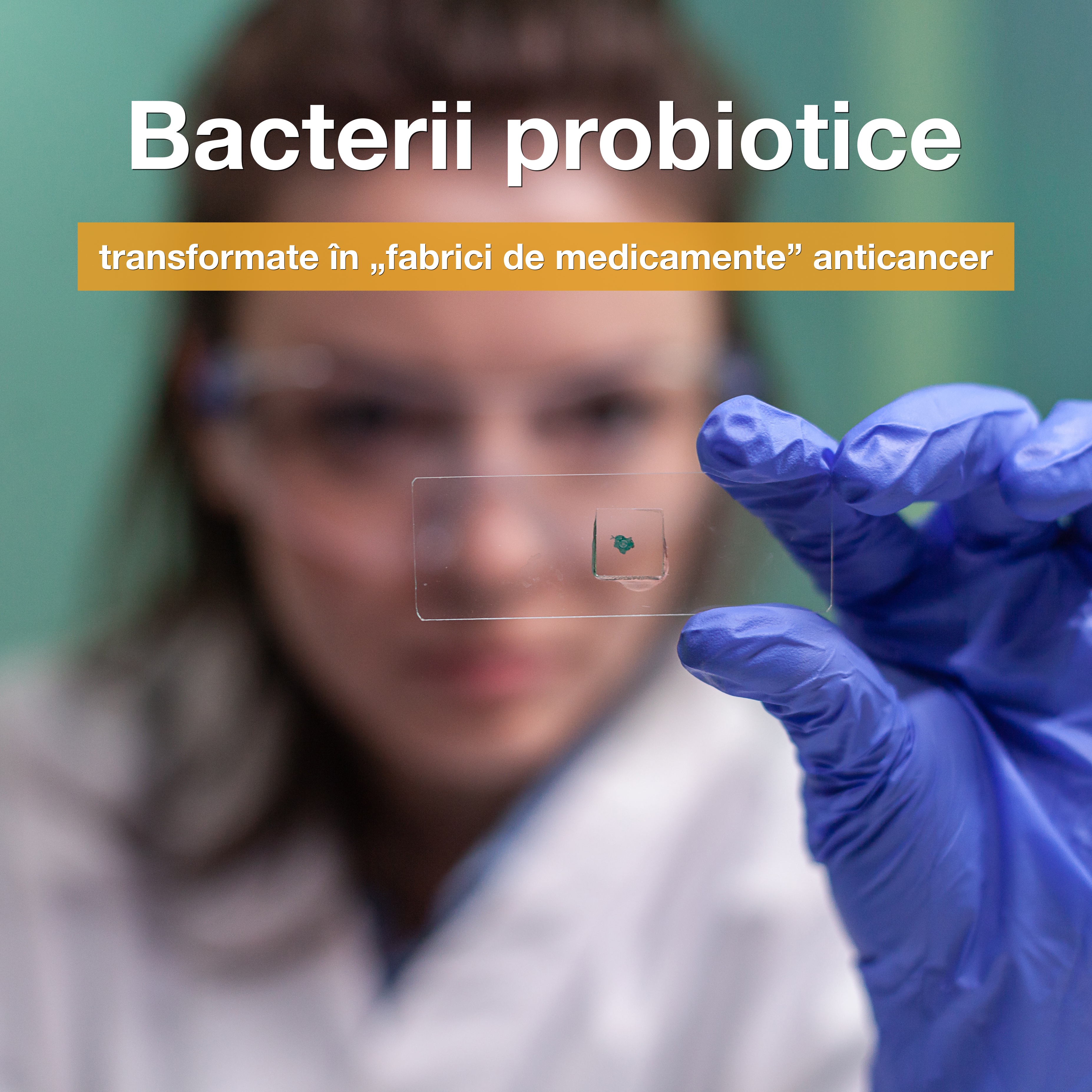 Bacterii probiotice modificate genetic pot produce local un medicament ...